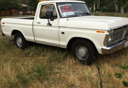 1973 Ford F100 Classics for Sale - Classics on Autotrader