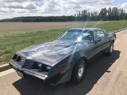 1981 Pontiac Firebird Classics for Sale - Classics on Autotrader