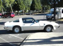 1981 Pontiac Firebird Classics for Sale - Classics on Autotrader